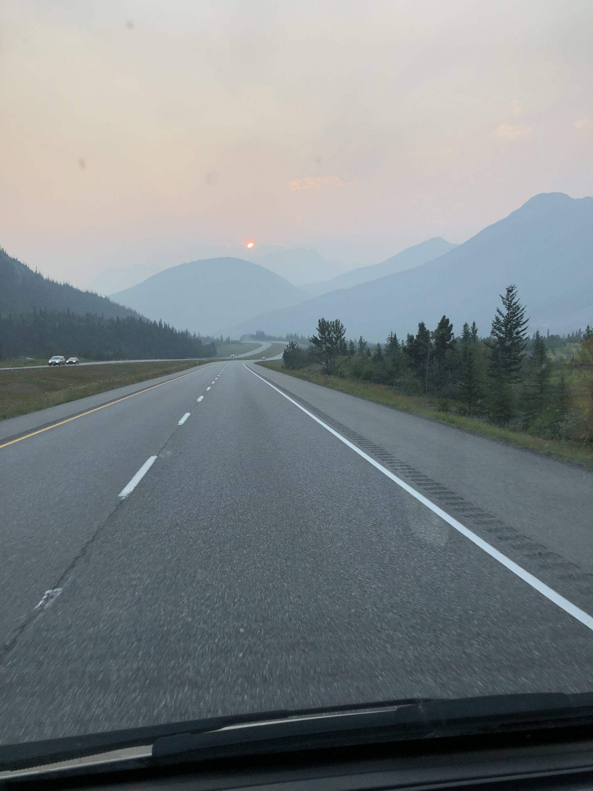 van life project - Cathy Schenkelberg